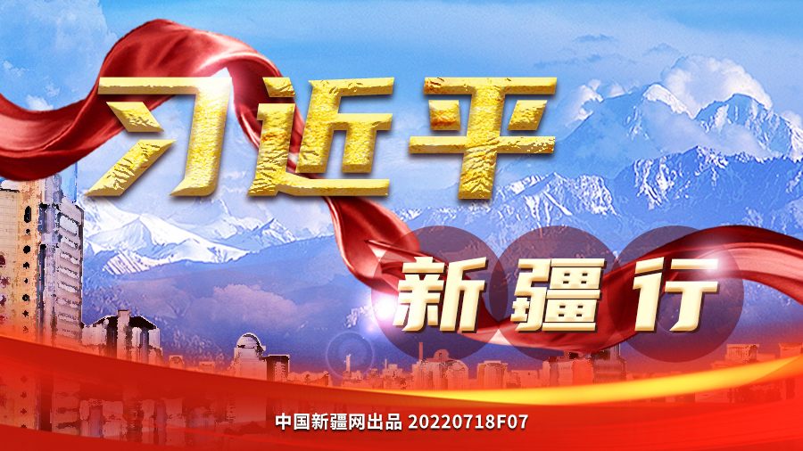 白皮书-中国新疆网